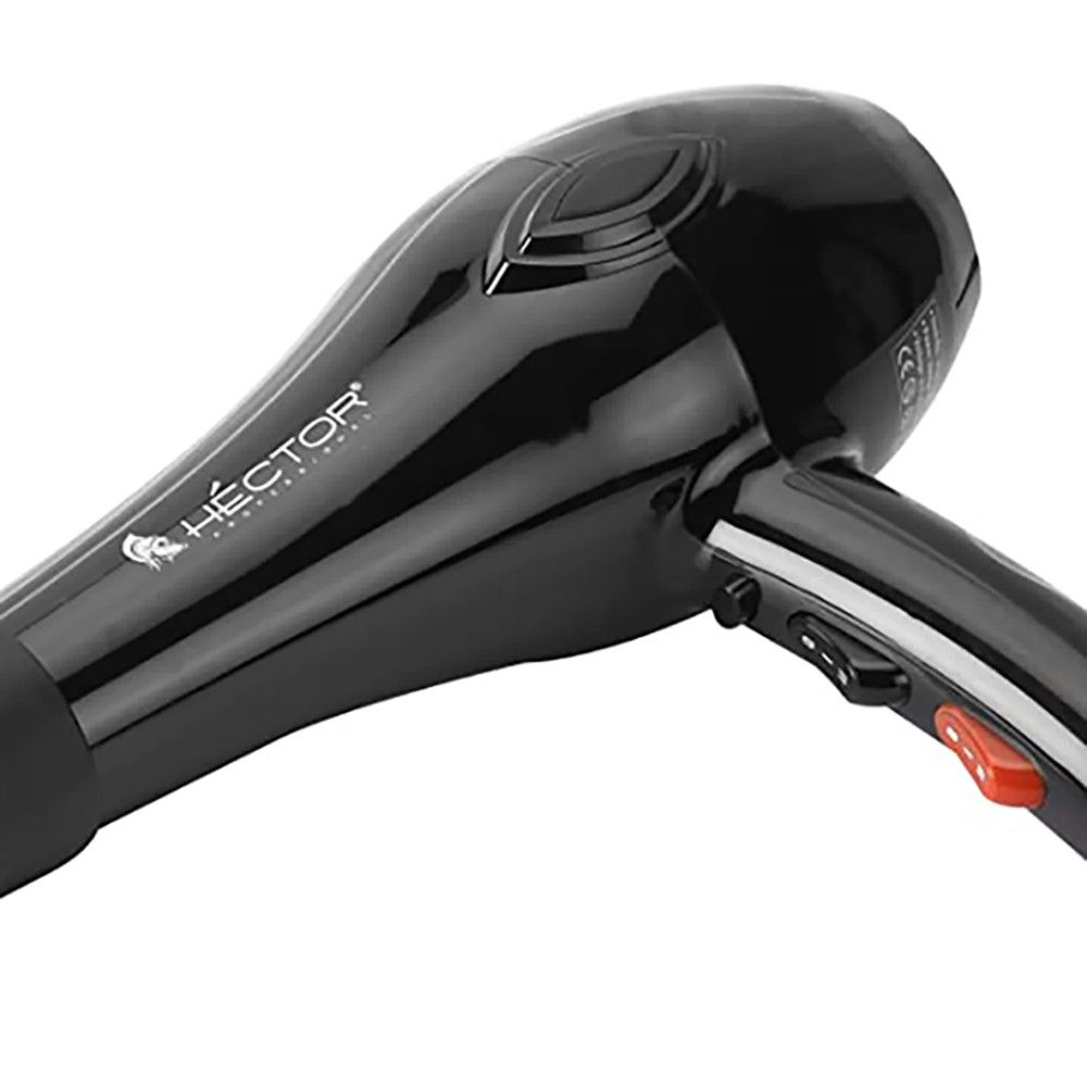 Hector Professional 2000 Watt Hair Dryer For Men And Women: Buy Hector ...