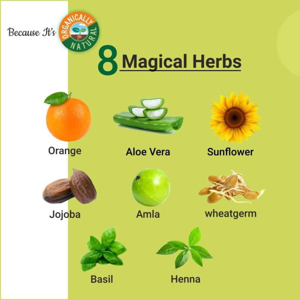 Indus Valley Organically Natural Hair Color Buy Indus Valley Indus Valley Organically Natural Hair Color Buy Indus Valley