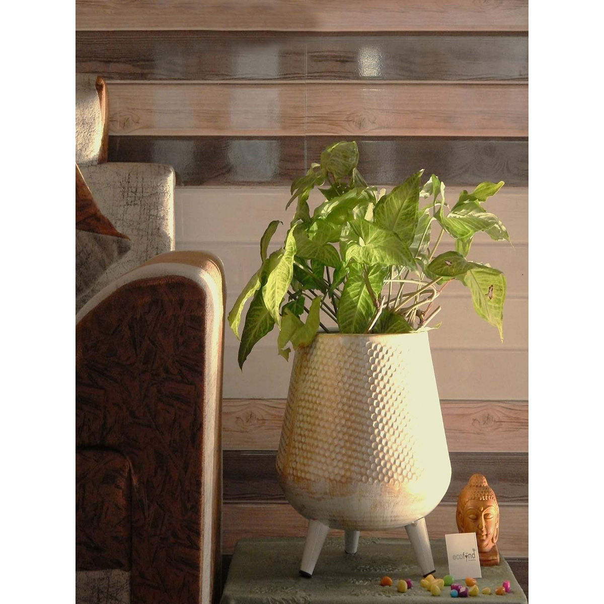 Buy Ecofynd Hazel Metal Planter with Stand Cream Online