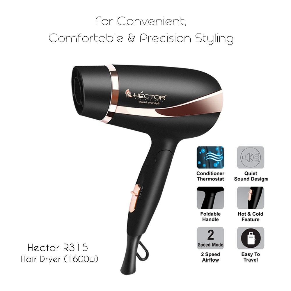 Buy Hector Professional Comfortable & Precision Styling Hair Dryer ...