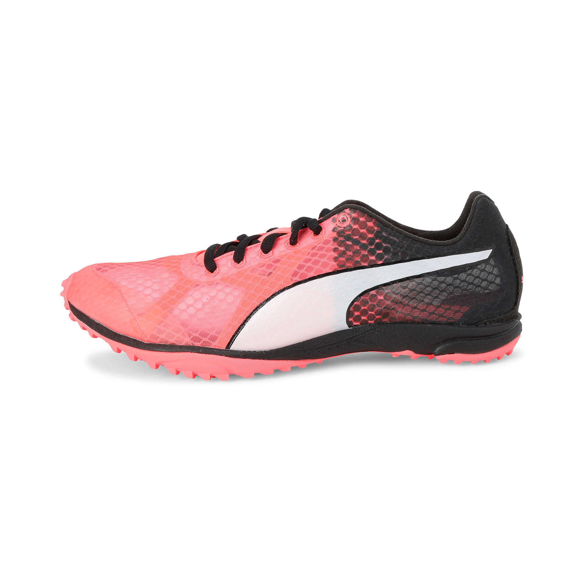 Puma Evospeed Haraka 6 Distance Unisex Pink Road Running Shoes - 8: Buy ...