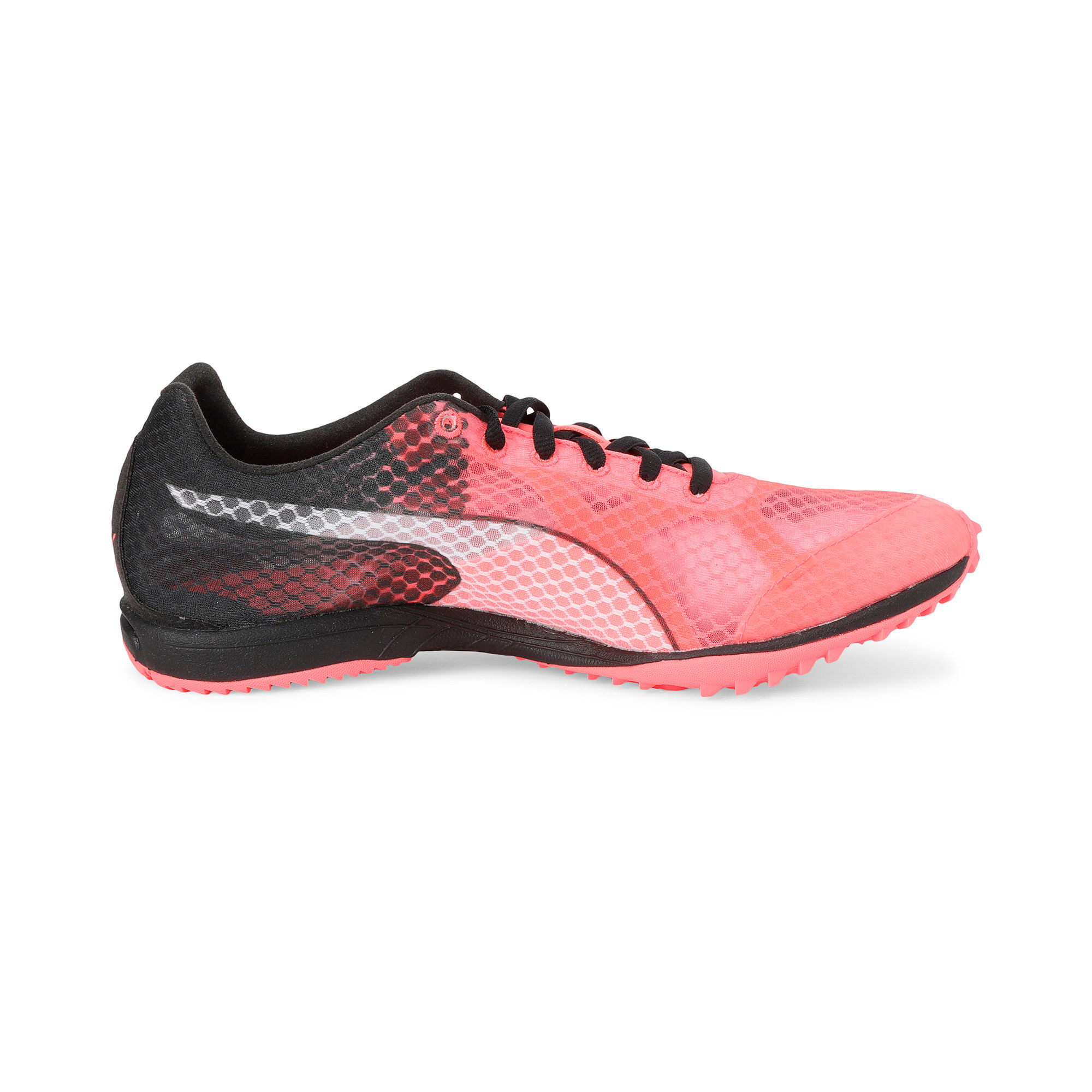 Puma Evospeed Haraka 6 Distance Unisex Pink Road Running Shoes - 8: Buy ...