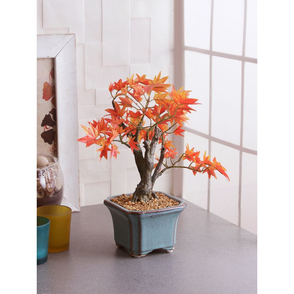 Buy Fourwalls Artificial Japanese Maple Bonsai Plant in a Ceramic Pot ...