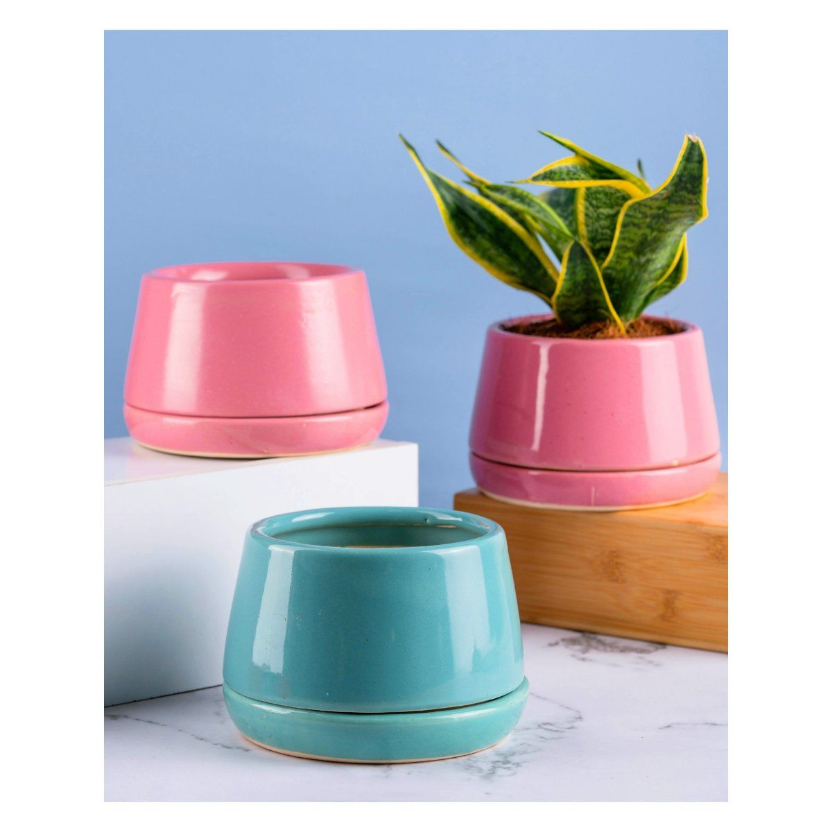 Buy Nurturing Green Combo of 3 Ceramic Pots (With Bottom Trays) Online