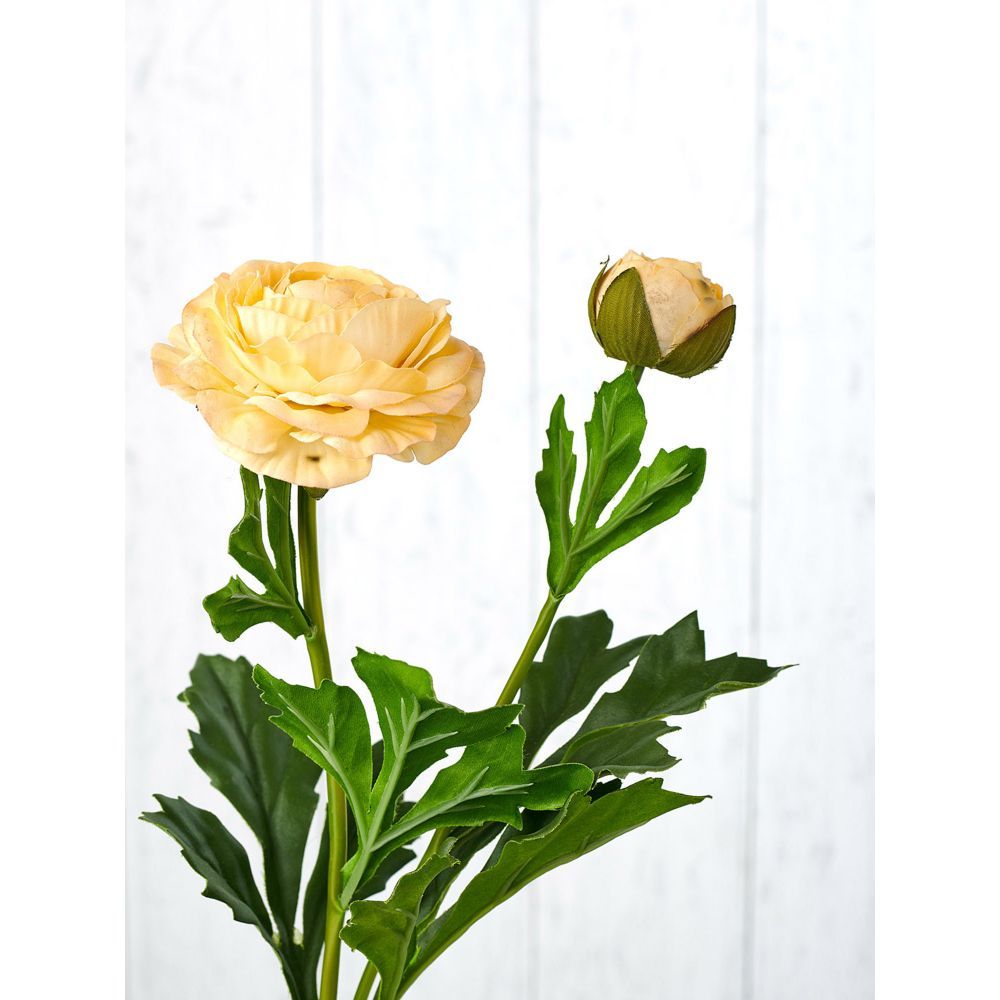 Buy Pure Home + Living Small yellow Ranunculus Stem Online