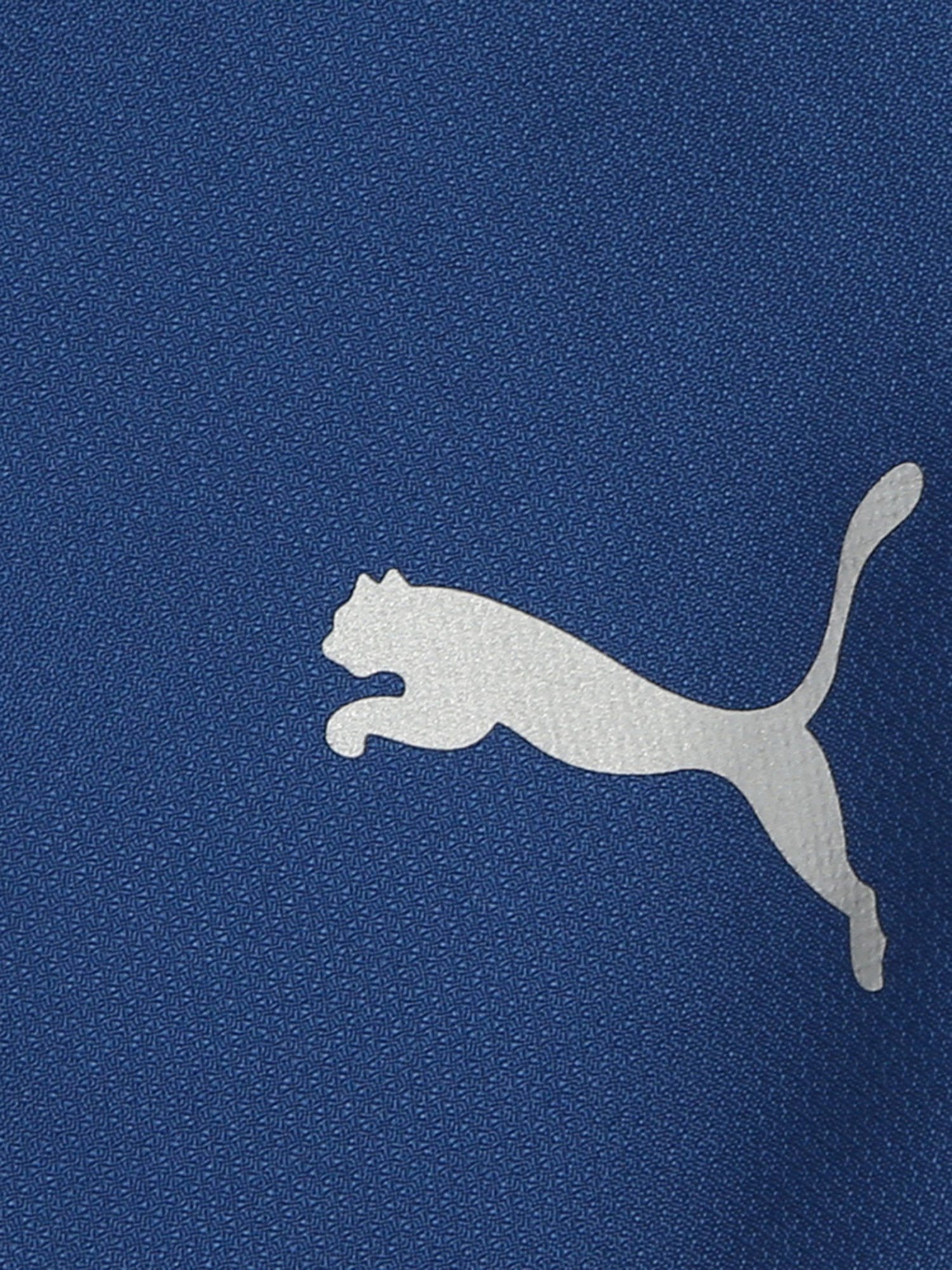 Buy Puma Active Sports Aop Woven Shorts B - Blue Online