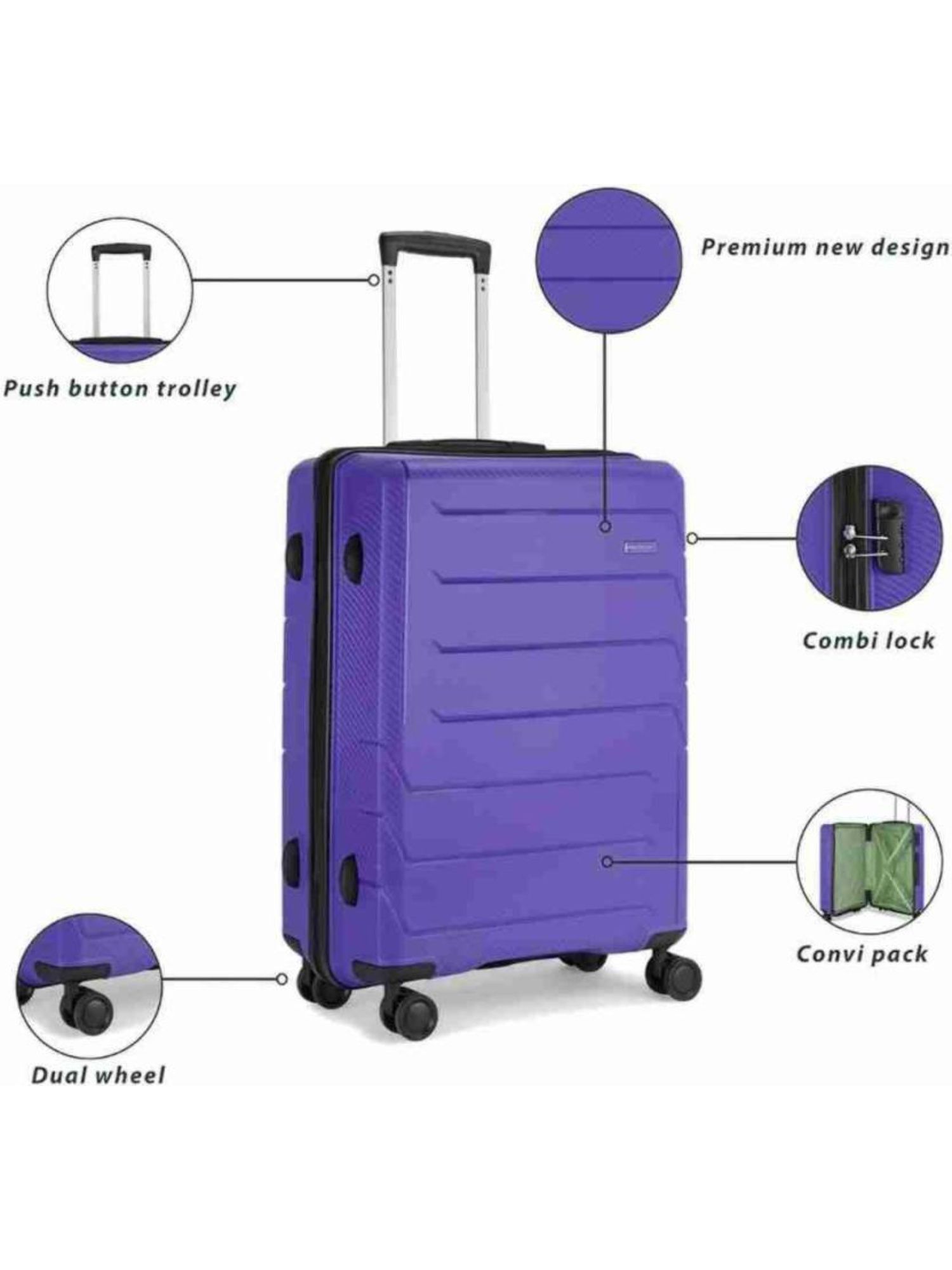 Buy Aristocrat Chroma 8W Strolly Cb,Md,Lg 360° Purple Online