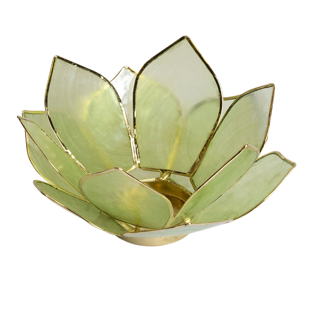 Buy Pure Home + Living Green Capiz Lotus Tea Light Holder - 12 Shells ...
