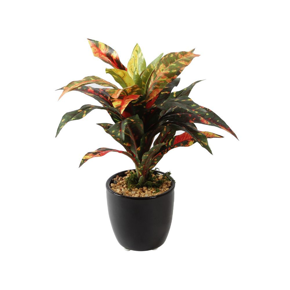 Buy Fourwalls Artificial Croton Bonsai Plant with a Ceramic Pot Online