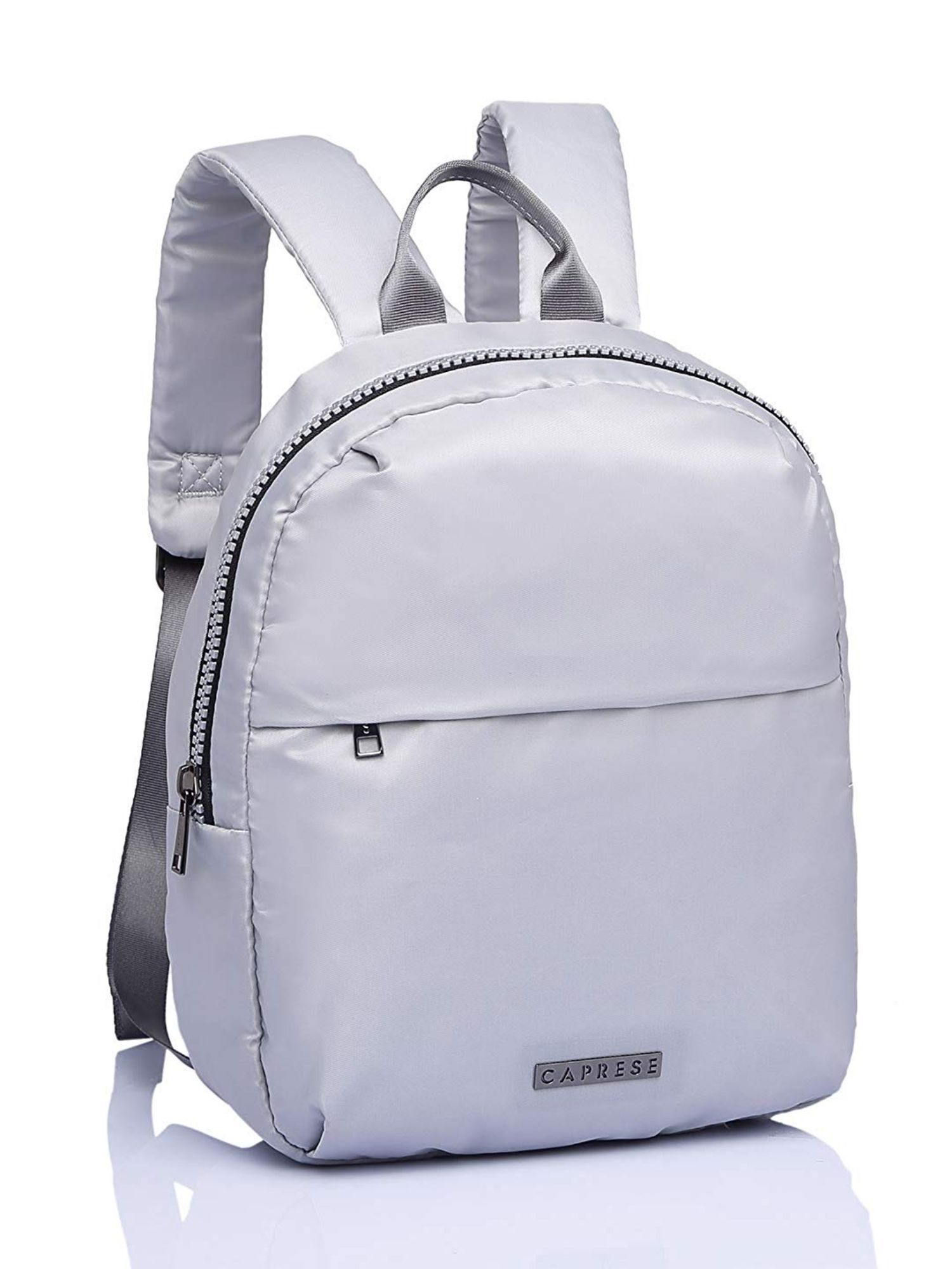Buy Caprese Emily Small Steel Backpack Online