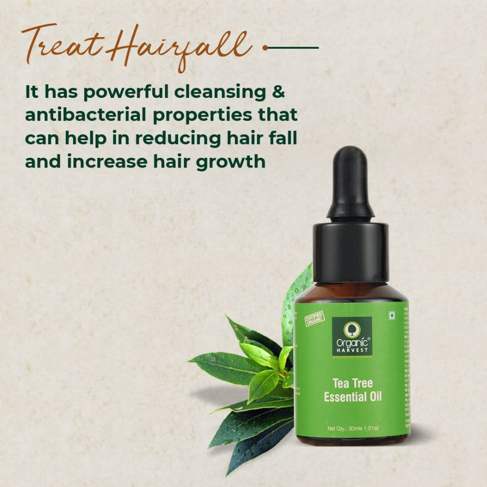 Organic Harvest Tea Tree Essential Oil: Buy Organic Harvest Tea Tree ...