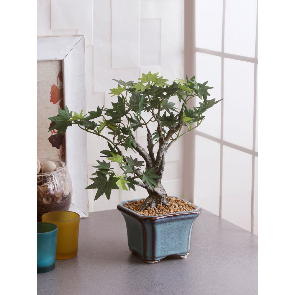 Buy Fourwalls Artificial Japanese Maple Bonsai Plant in a Ceramic Pot ...