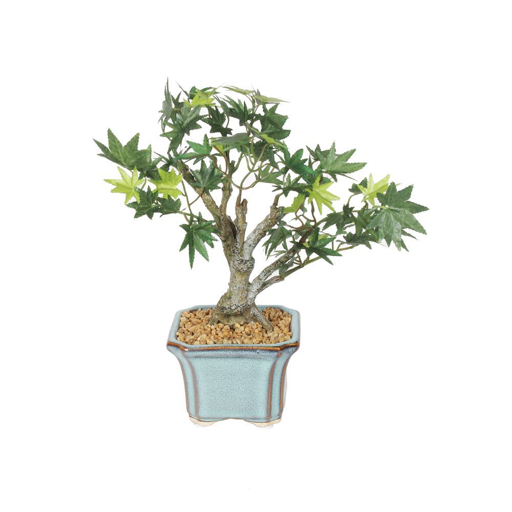 Buy Fourwalls Artificial Japanese Maple Bonsai Plant in a Ceramic Pot ...