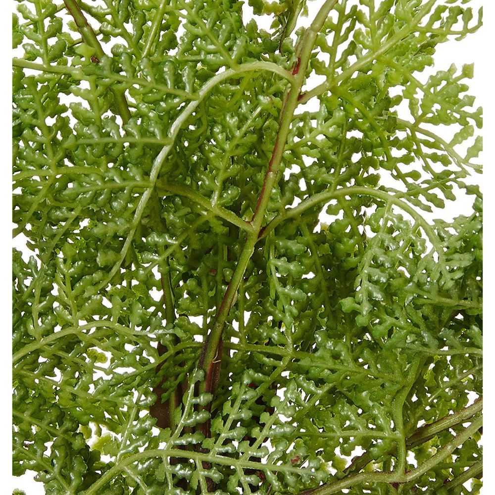 Buy Fourwalls Artificial Soft Touch Fern Bonsai Potted Plant Online