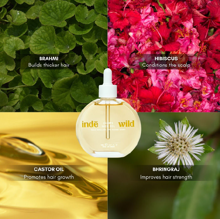 Buy inde wild Champi Hair Oil With Bhringraj, Brahmi & Amla For ...