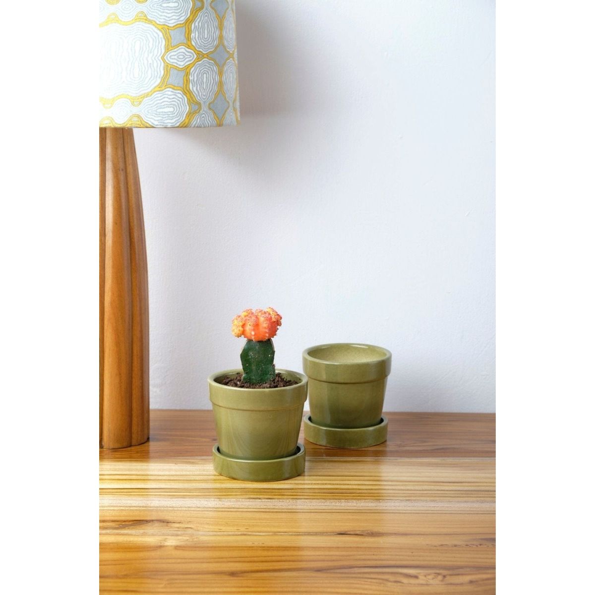 Buy Freedom Tree Ombre Olive Green Herb Planter (Set Of 2) Online