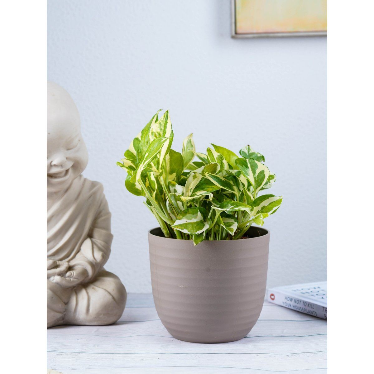 Nurturing Green Combo of 3 Mocha Plastic Fibre Planters: Buy Nurturing ...