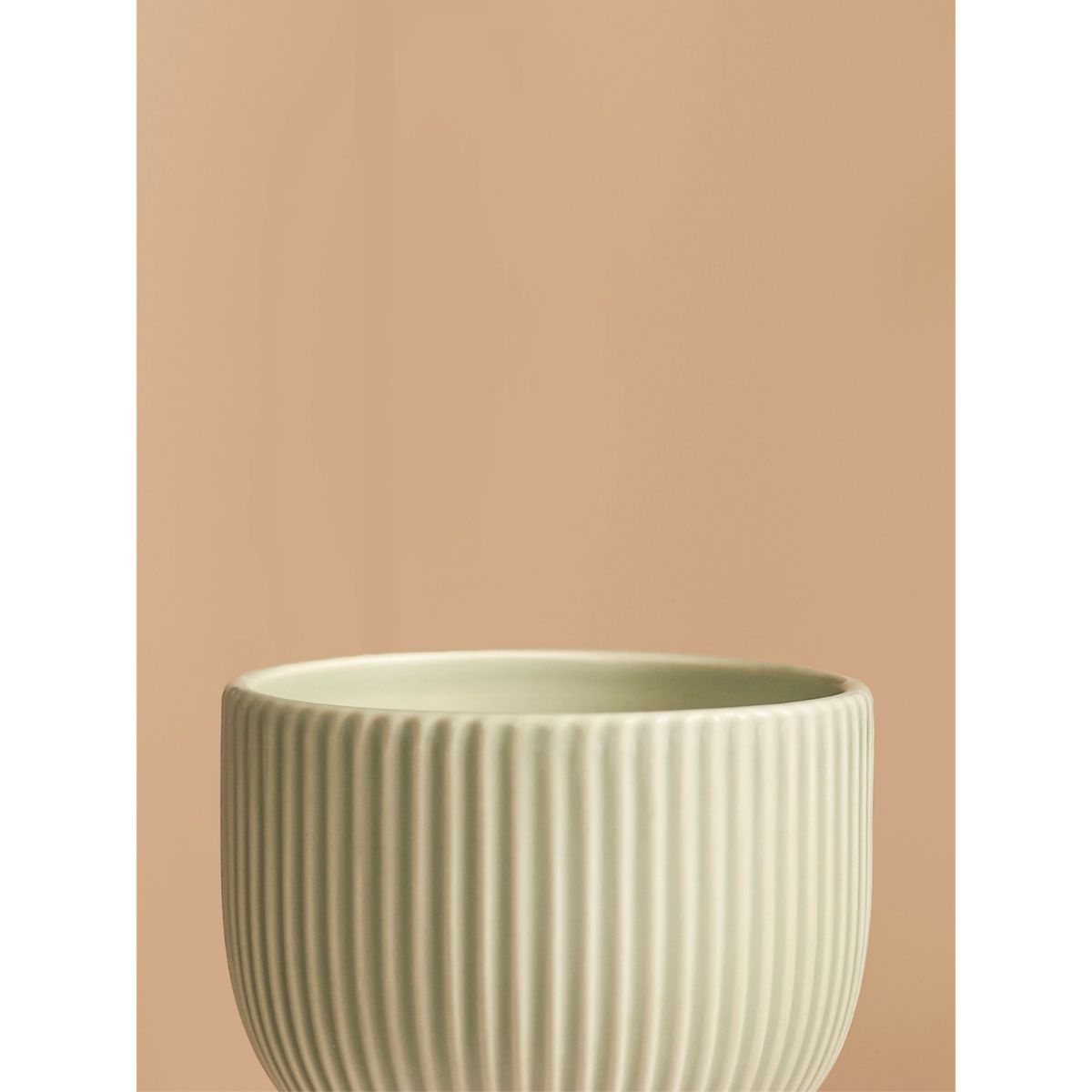 Buy Nestasia Earthy Flower Vase Online