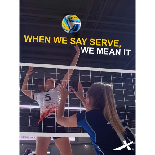 vector x volleyball net