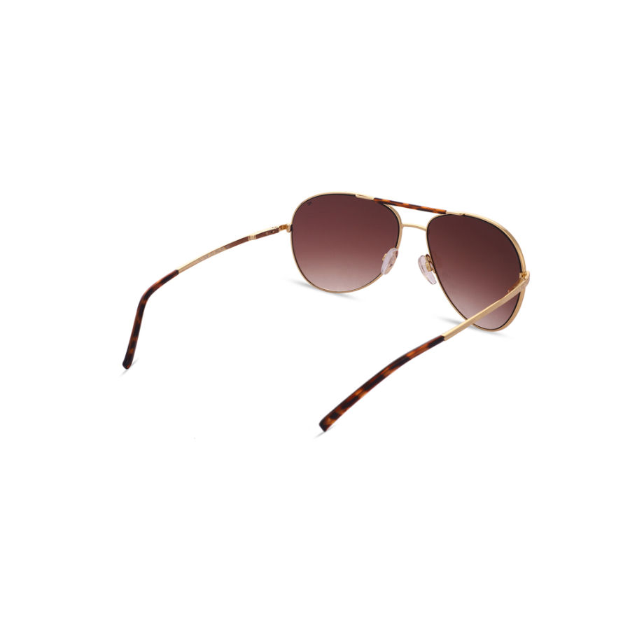 Buy French Connection Brown Lens Aviator Sunglass Full Rim Gold Frame ...