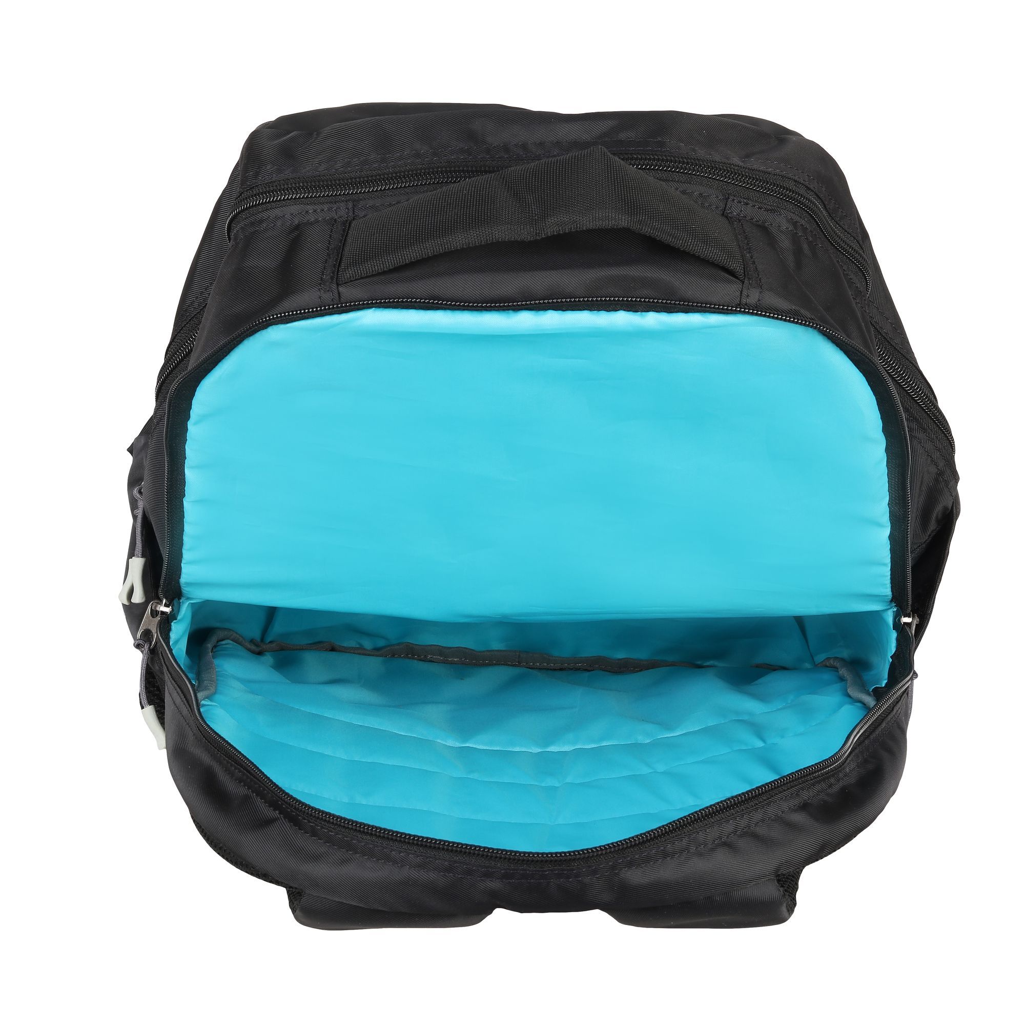 Buy Lavie Black Lincoln Backpack Online