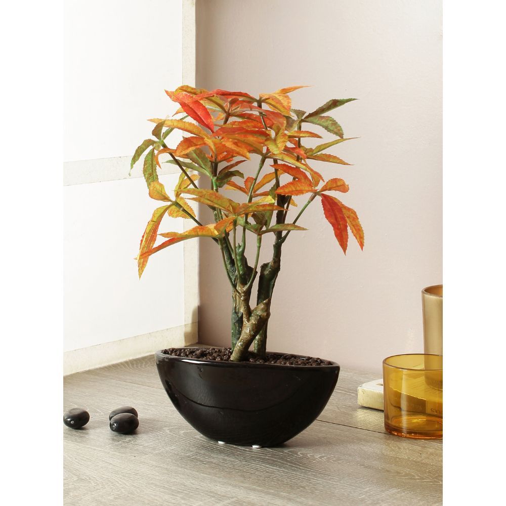 Buy Fourwalls Artificial Japanese Maple Bonsai Plant with a Ceramic Pot ...