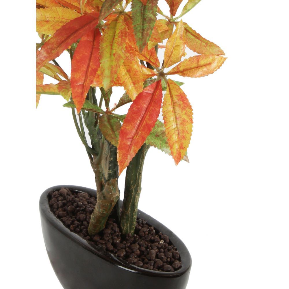 Buy Fourwalls Artificial Japanese Maple Bonsai Plant with a Ceramic Pot ...