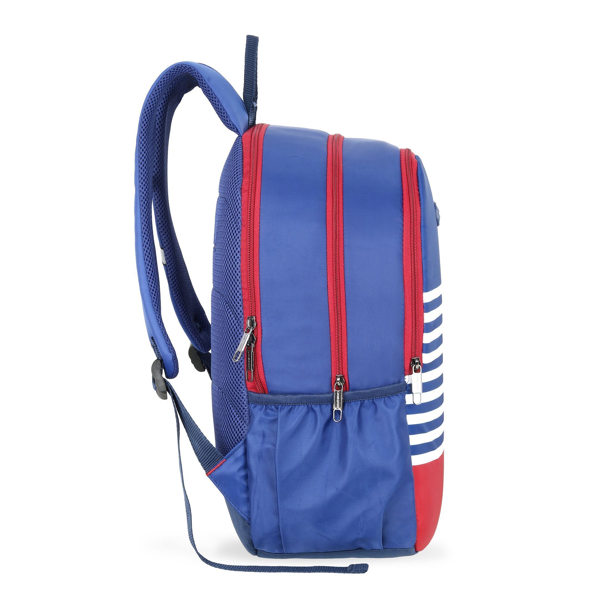 Buy Lavie Sport Red Stripes Backpacks Online