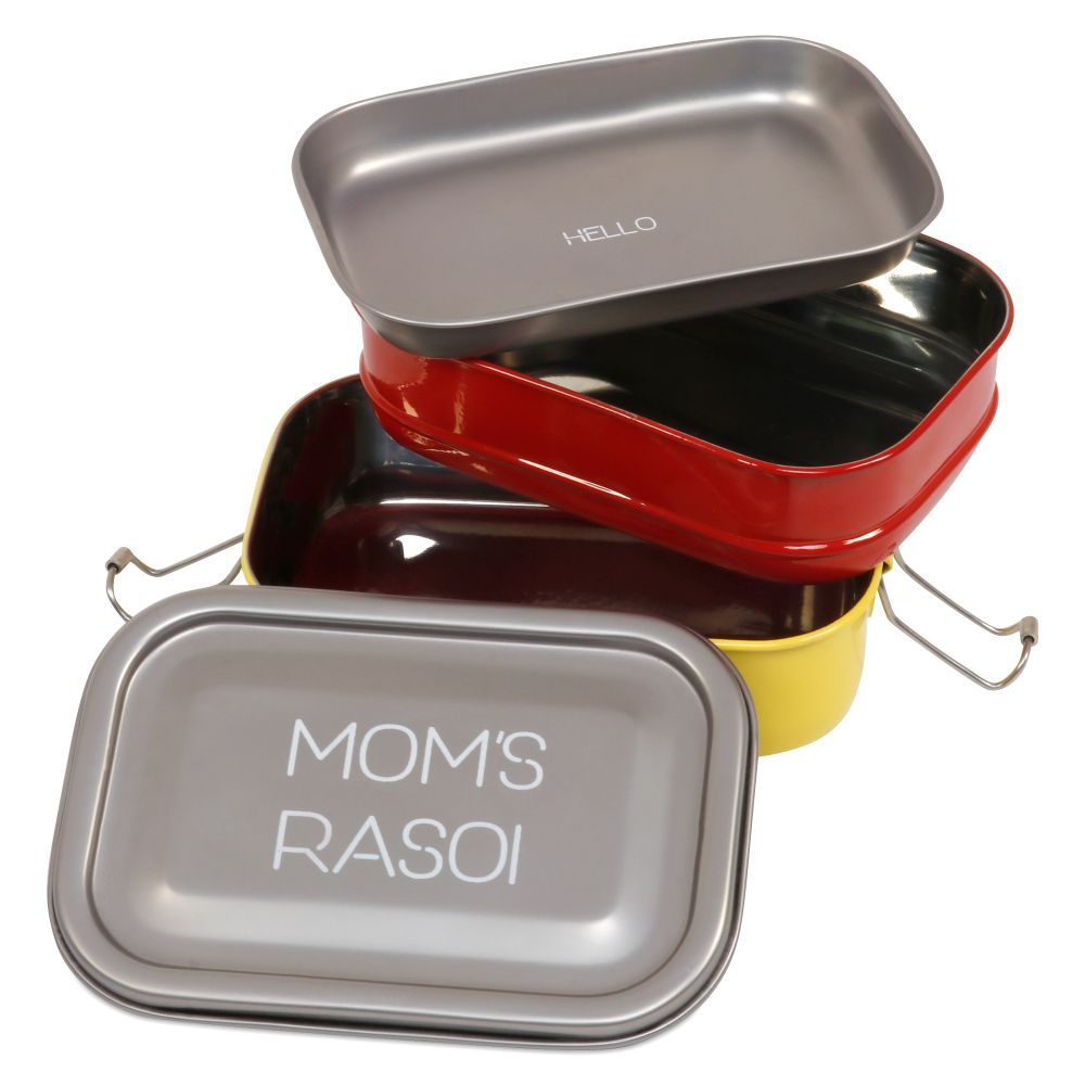 Living With Elan Biwi's Kitchen Stainless Steel Lunch Box 2 ...