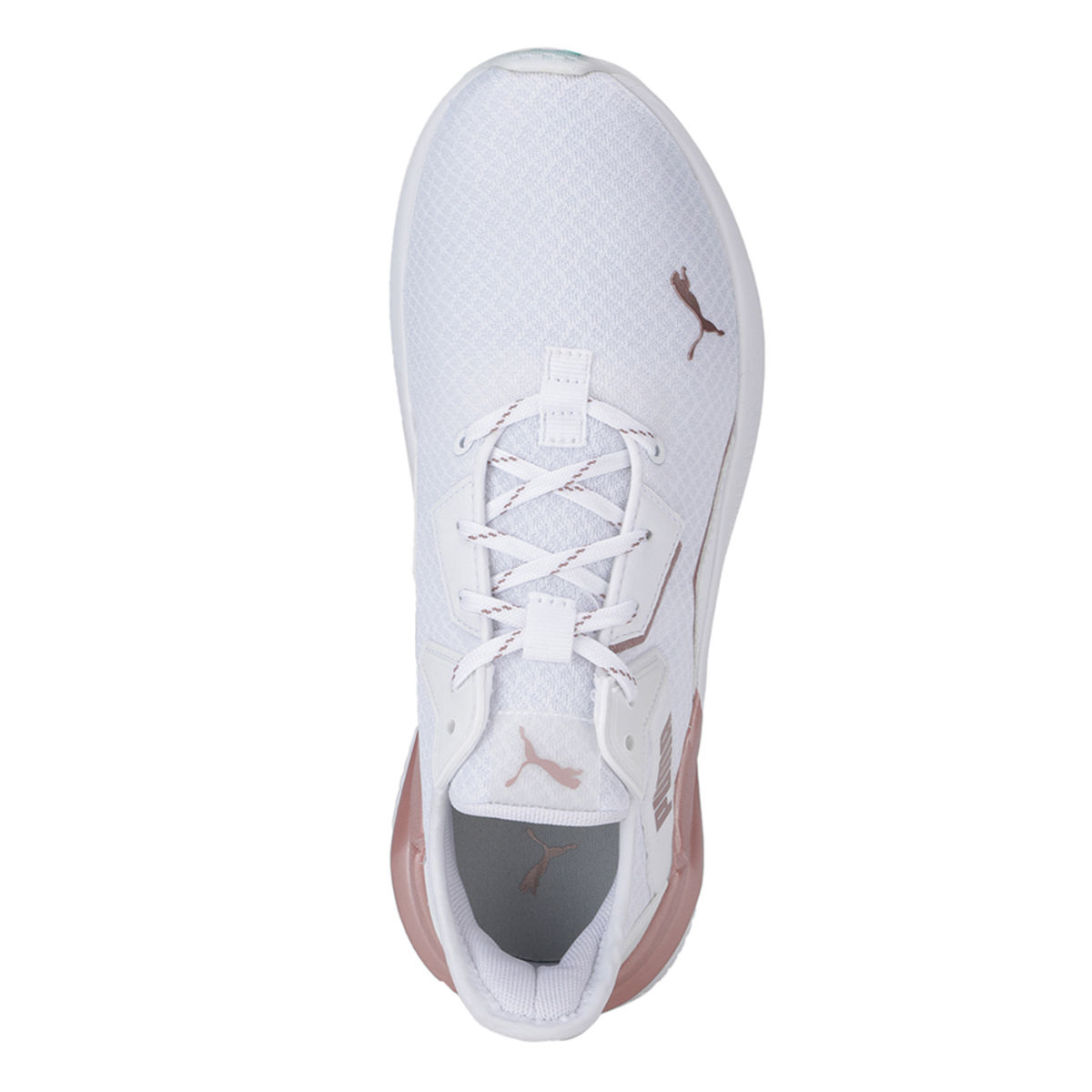 Buy Puma Platinum Metallic Women White Shoes Online