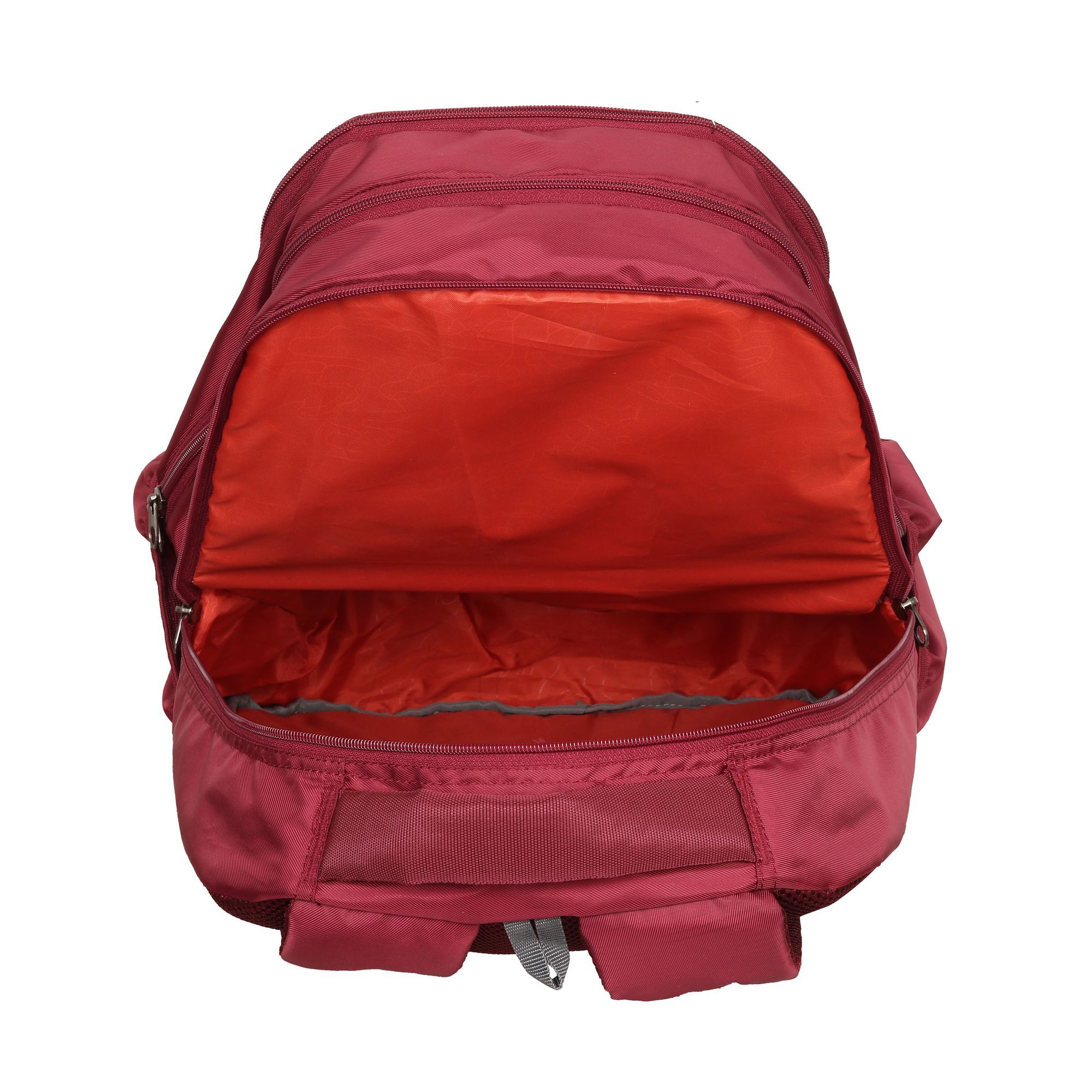 Buy Lavie Maroon Melbourne Backpack Online