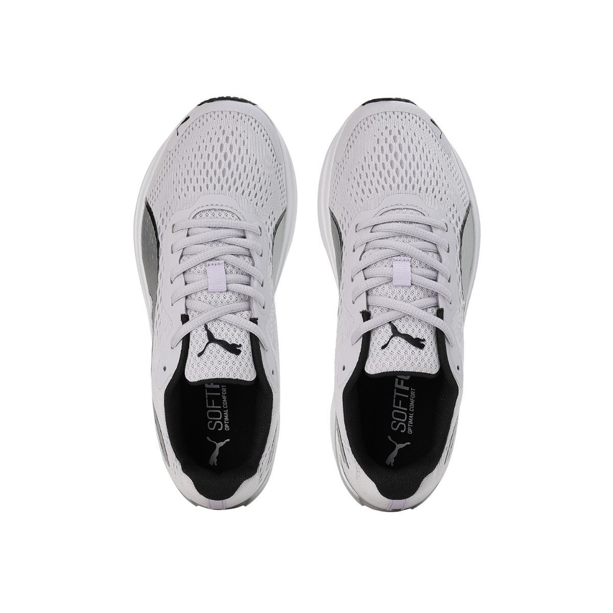 Buy Puma Feline Profoam Femme Women Purple Running Shoes Online