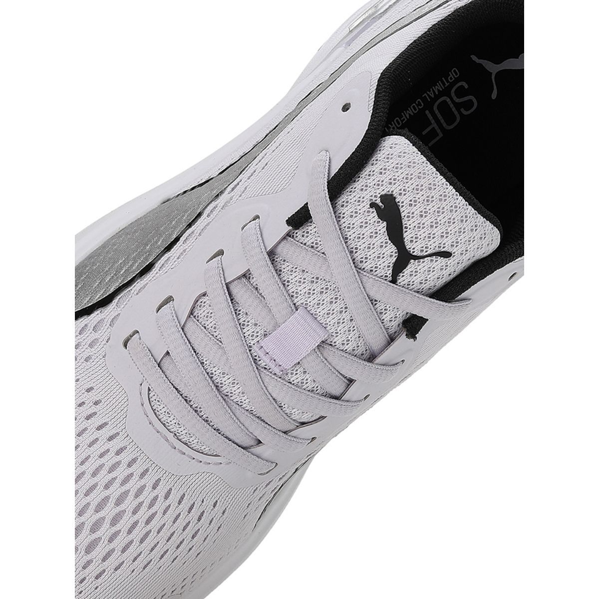 Buy Puma Feline Profoam Femme Women Purple Running Shoes Online