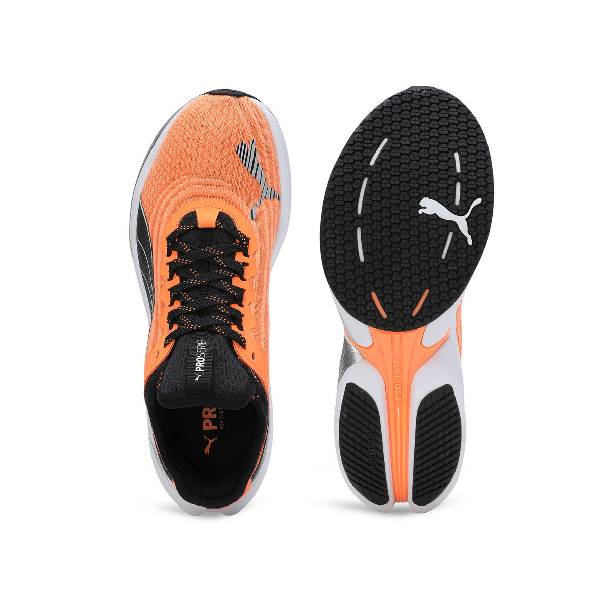 Buy Puma Conduct Pro Unisex Orange Running Shoes Online