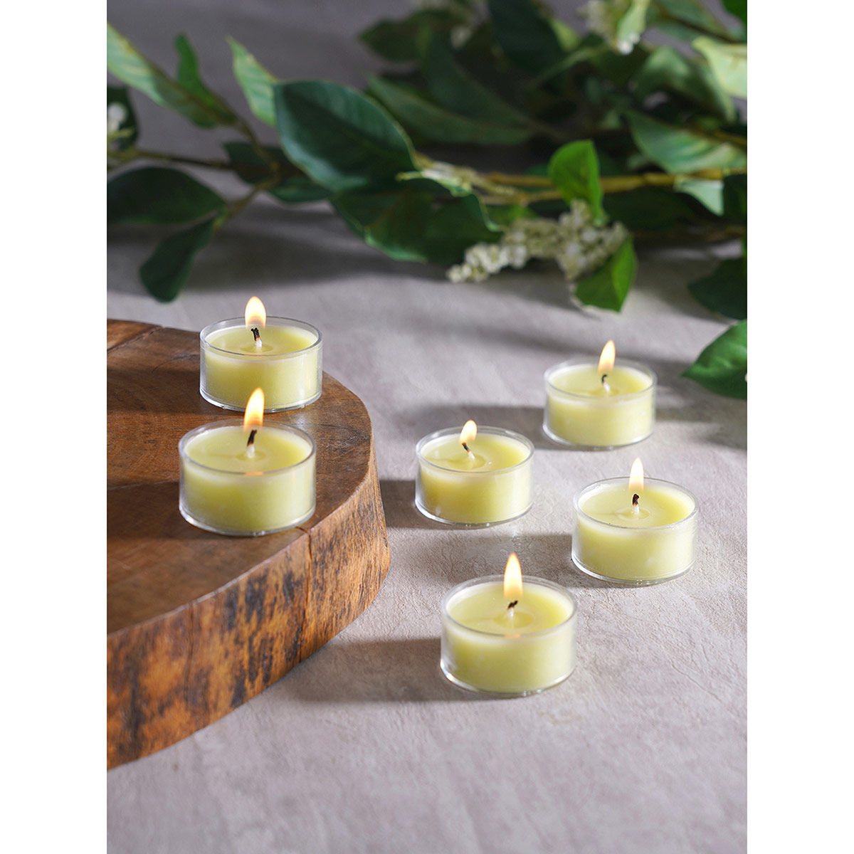 Pure Home + Living Summar Pista Green T-Light Candles (Pack of 24): Buy ...