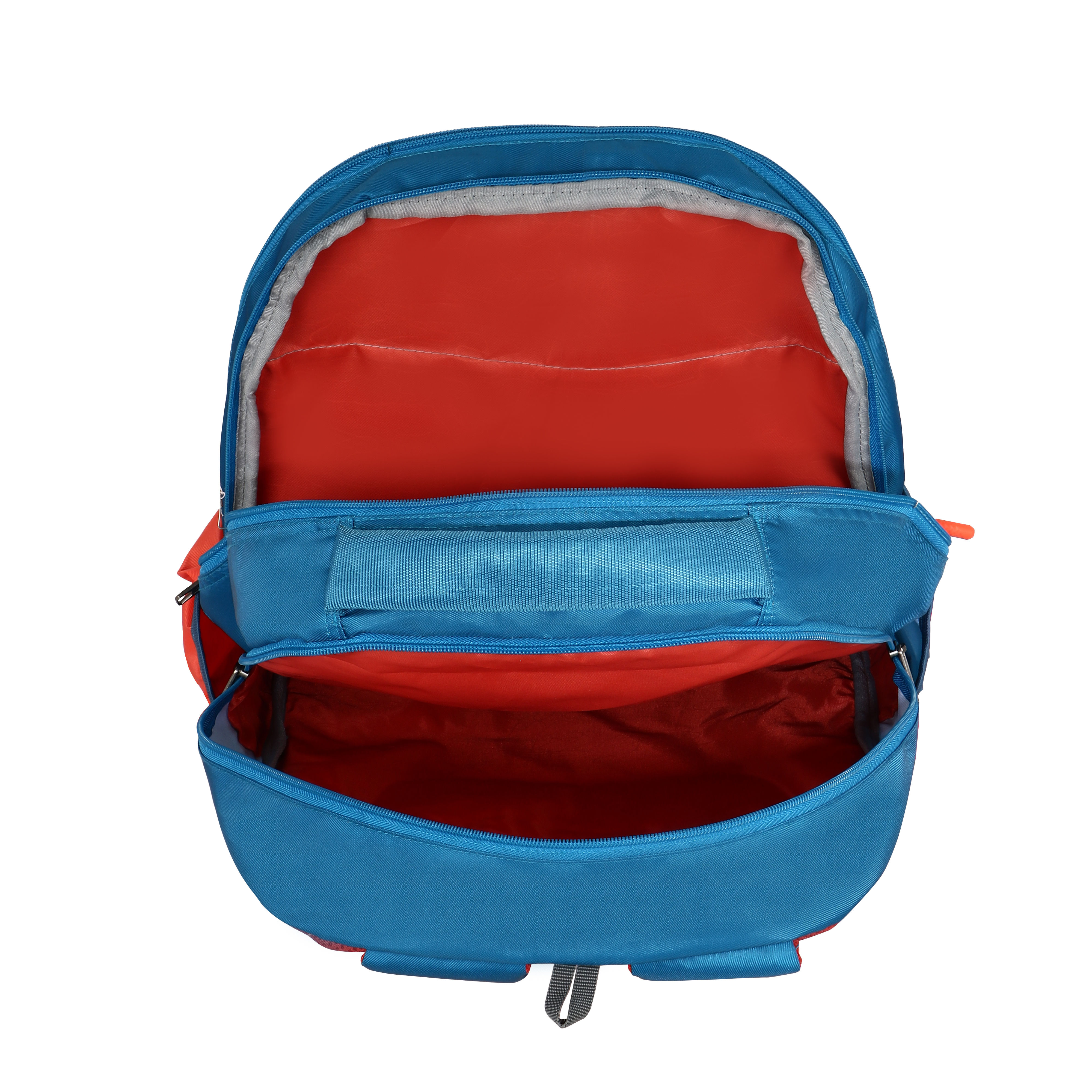 Buy Lavie Blue Chase Backpack Online