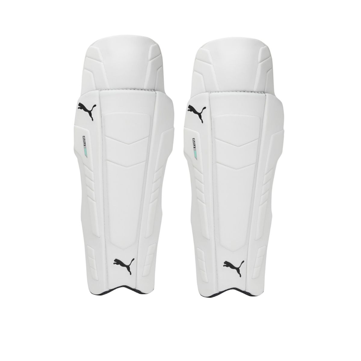 Buy Puma Evo Le Unisex Green Cricket Batting Pads Online