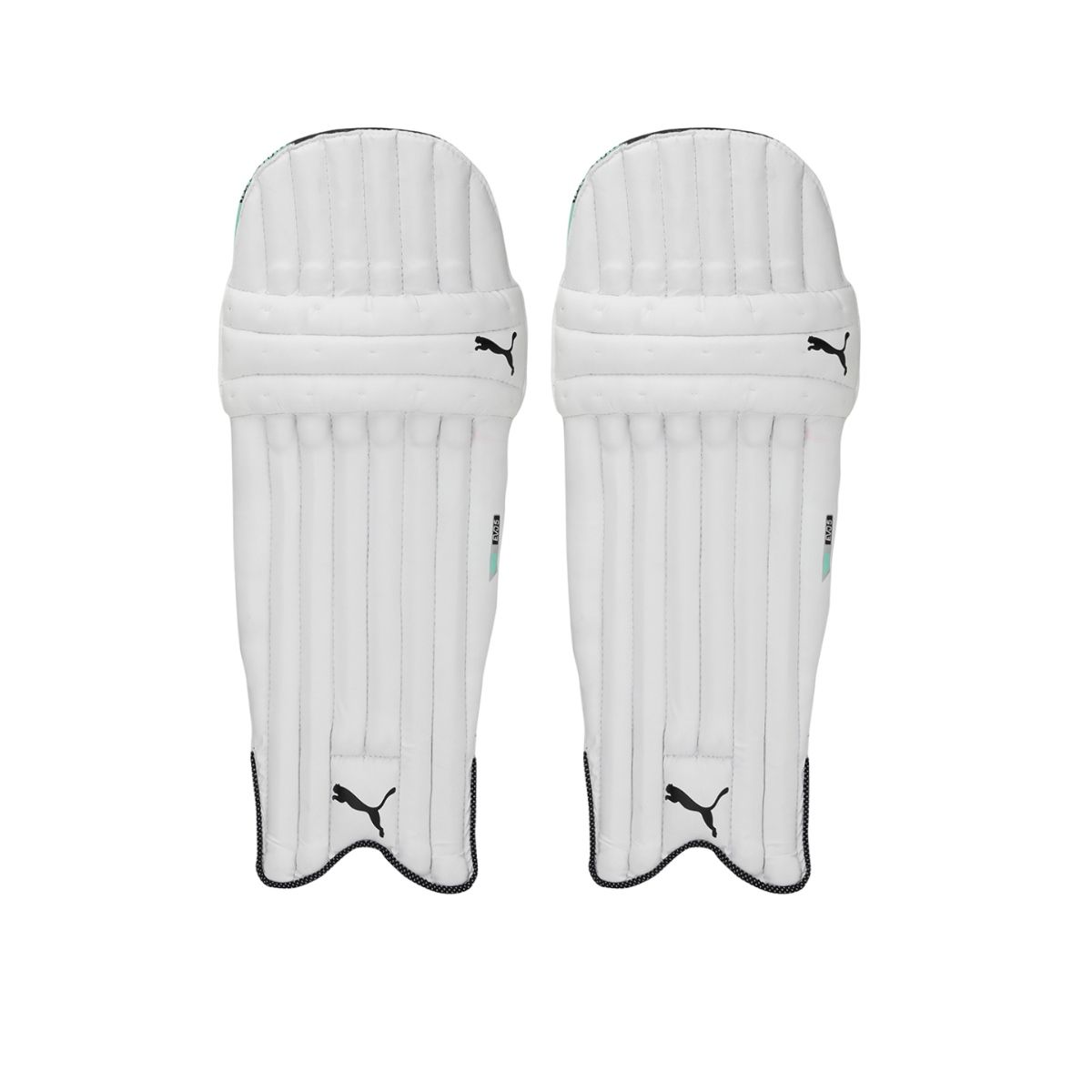 Buy Puma Evo 5 Unisex Green Cricket Batting Pads Online