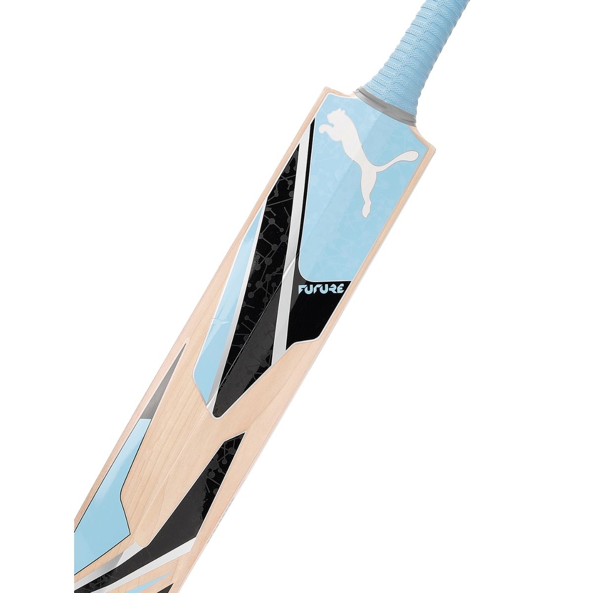 Buy Puma Future 20.6 Ew Unisex Blue Cricket Bat Online