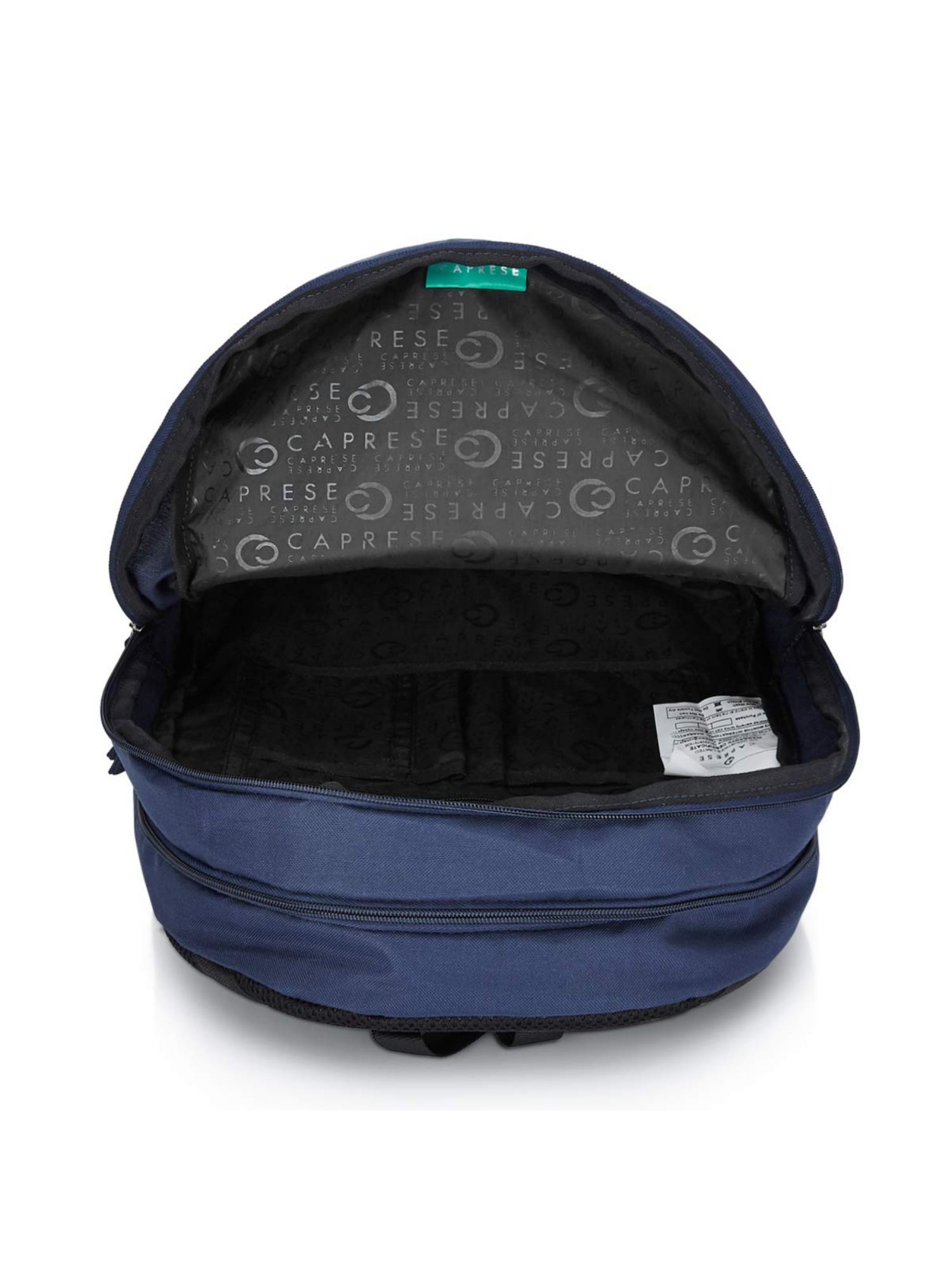Caprese Arleen Laptop (H) Blue Backpack: Buy Caprese Arleen Laptop (H ...