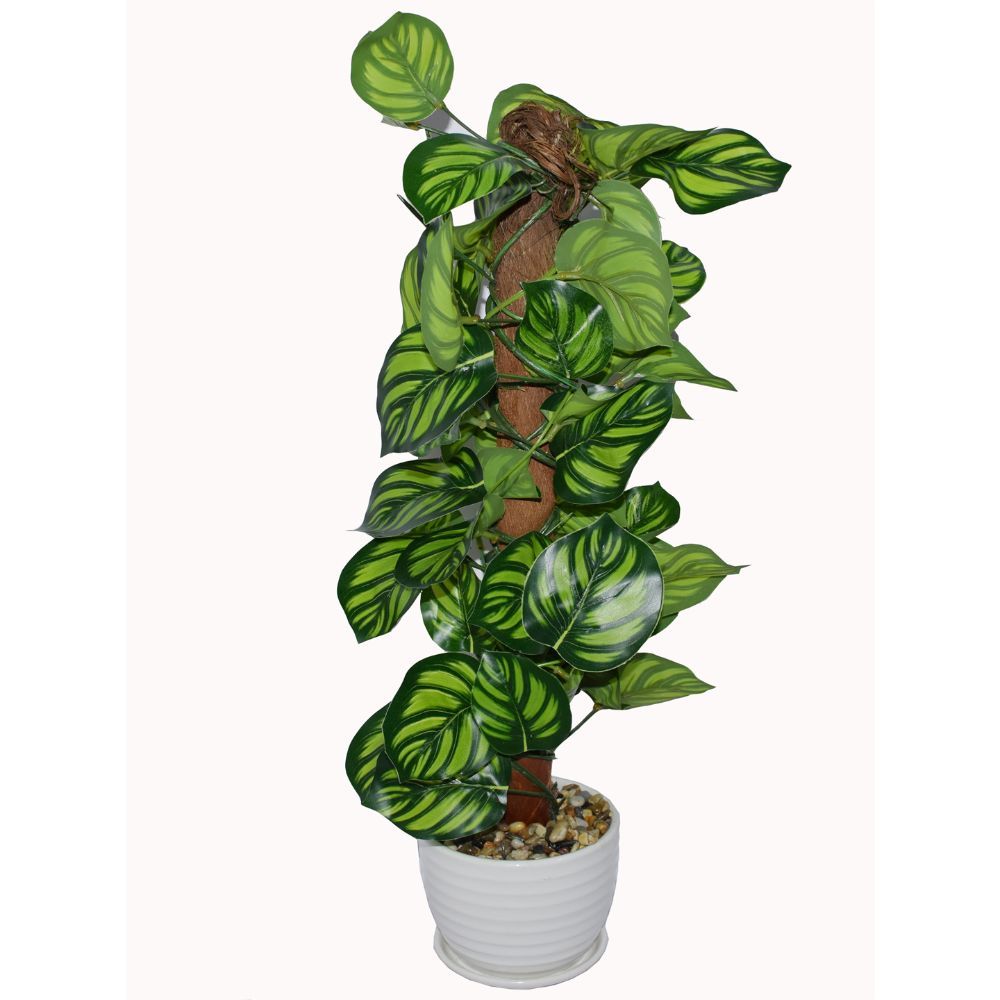 Buy Fourwalls Artificial Money Plant with Ceramic Vase Online
