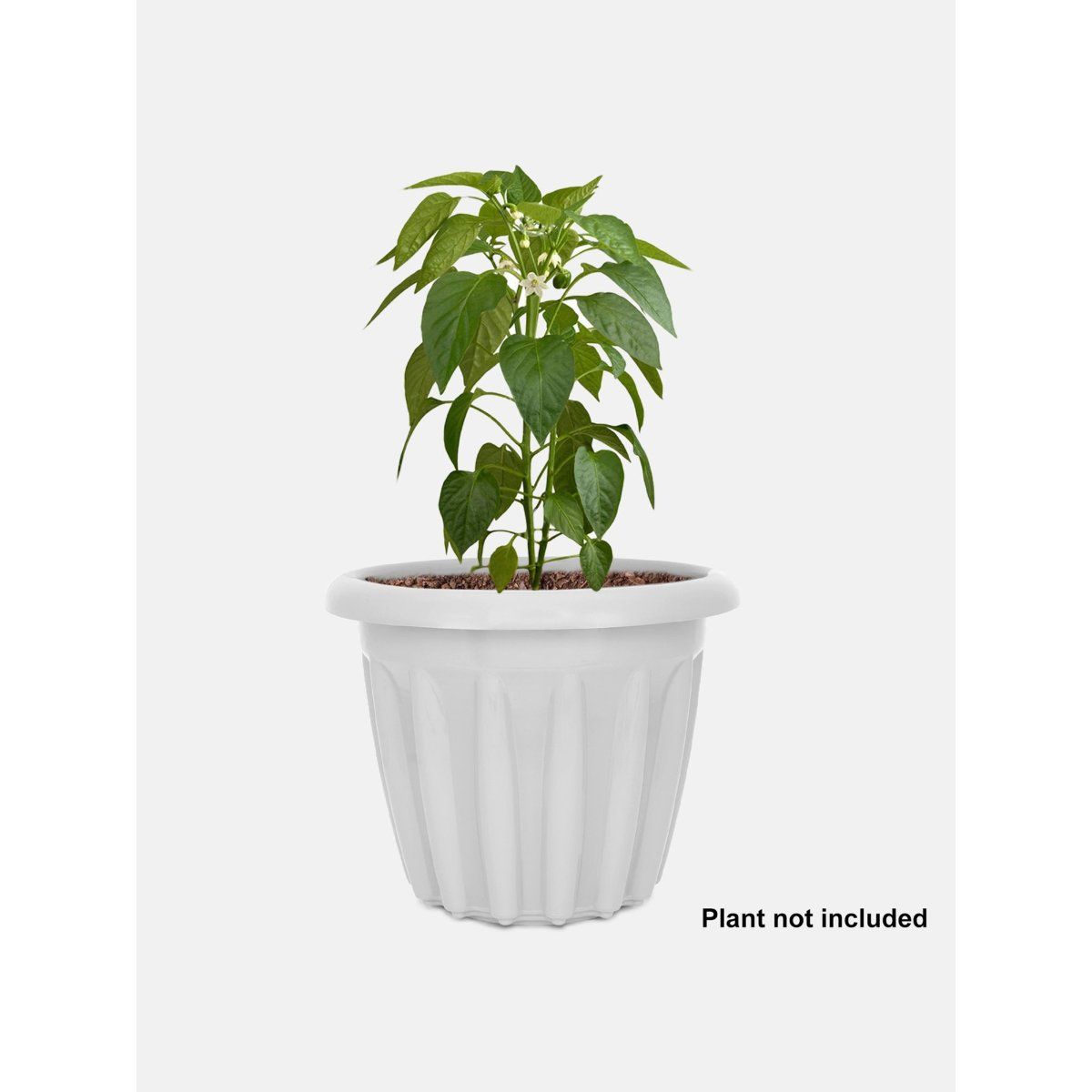 Buy Yuccabe Italia SHERA Floot 12-Inch White Plastic Flower Pot Set ...