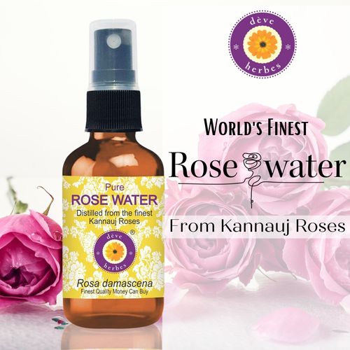 Rosa Damascena Flower Water Benefits | Best Flower Site
