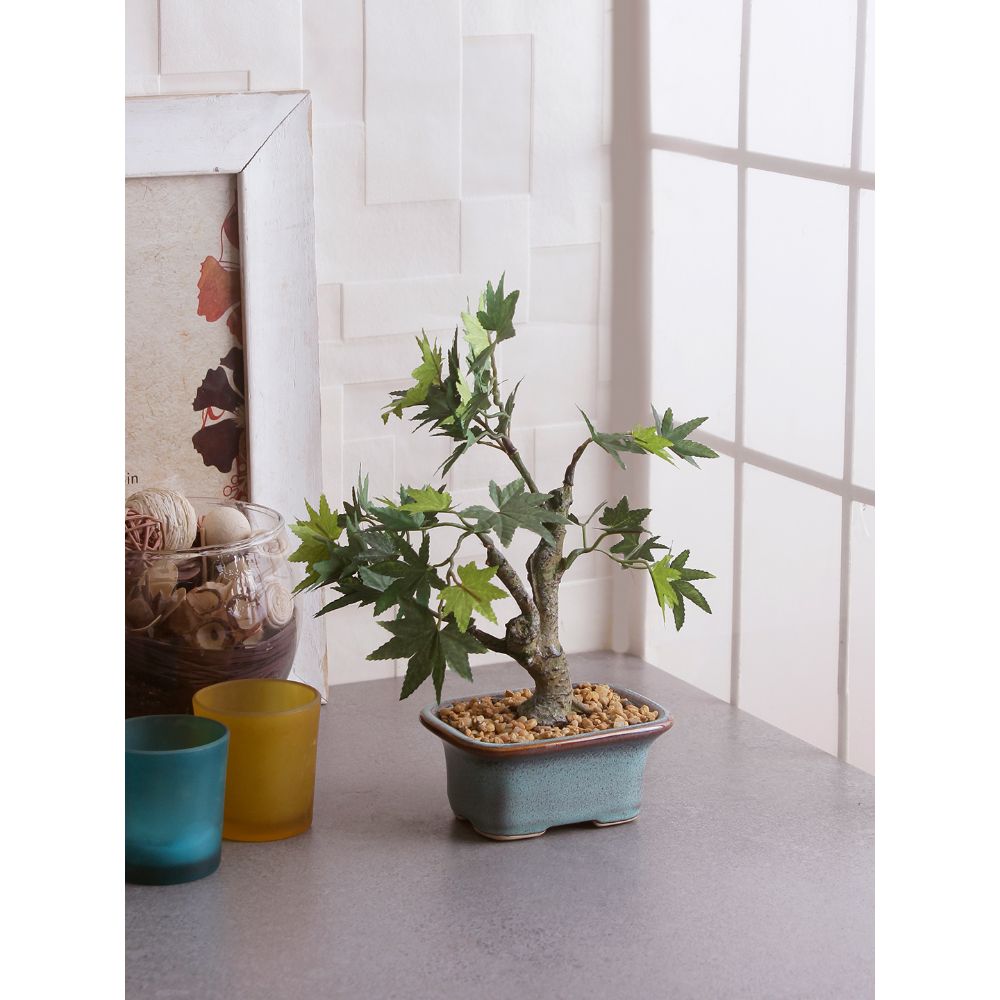 Buy Fourwalls Artificial Japanese Maple Bonsai Plant in a Ceramic Pot ...