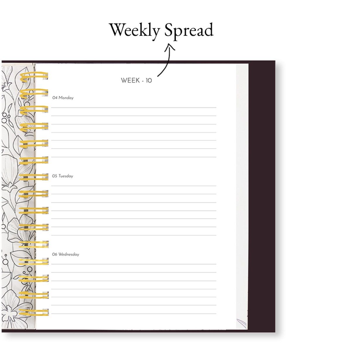 Buy Happywagon 2024 One Day Wiro Wrap Planner Online