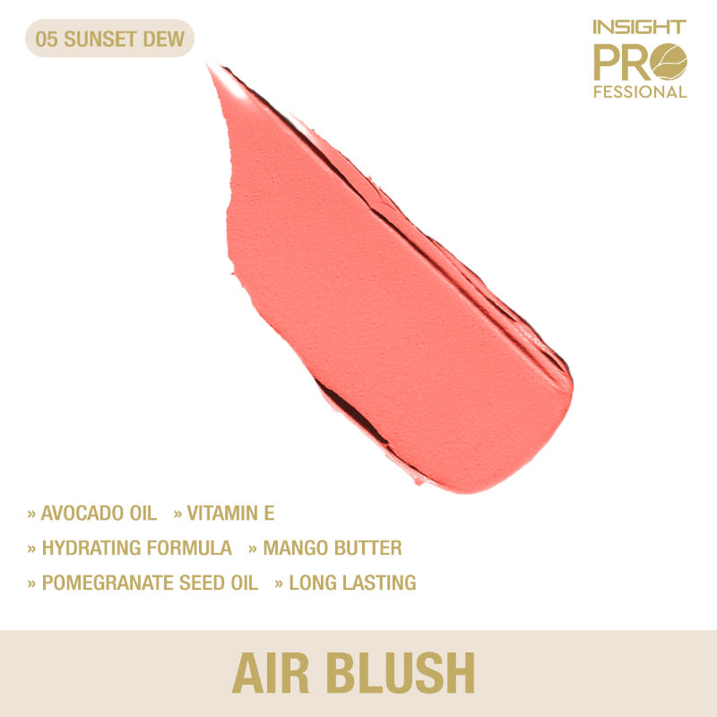 Insight Professional Air Blush: Buy Insight Professional Air Blush Online at Best Price in India ...