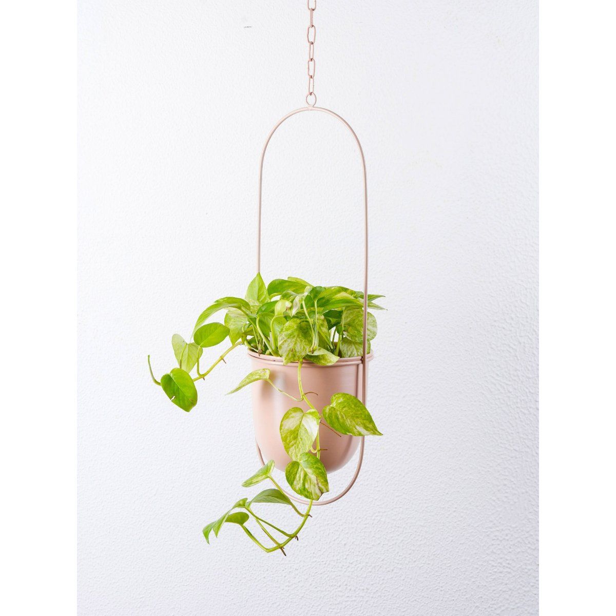 Buy Nurturing Green Pink Oval Hanging Metal Pot Stand with Planter Online