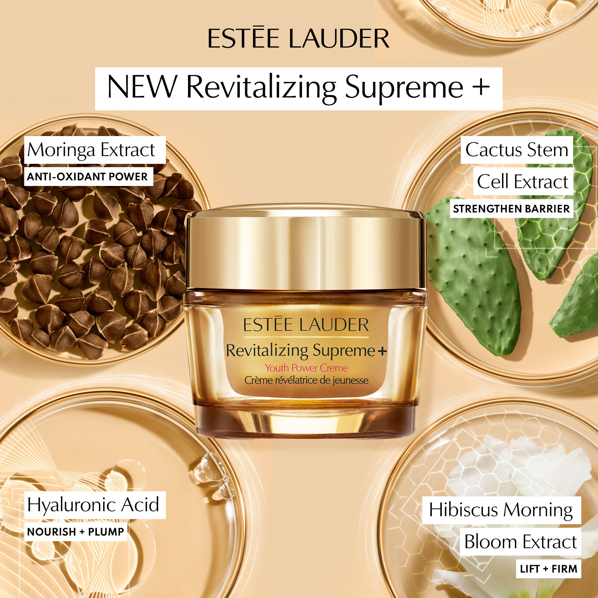 Estee Lauder Revitalizing Supreme+ Youth Power Creme: Buy Estee Lauder ...
