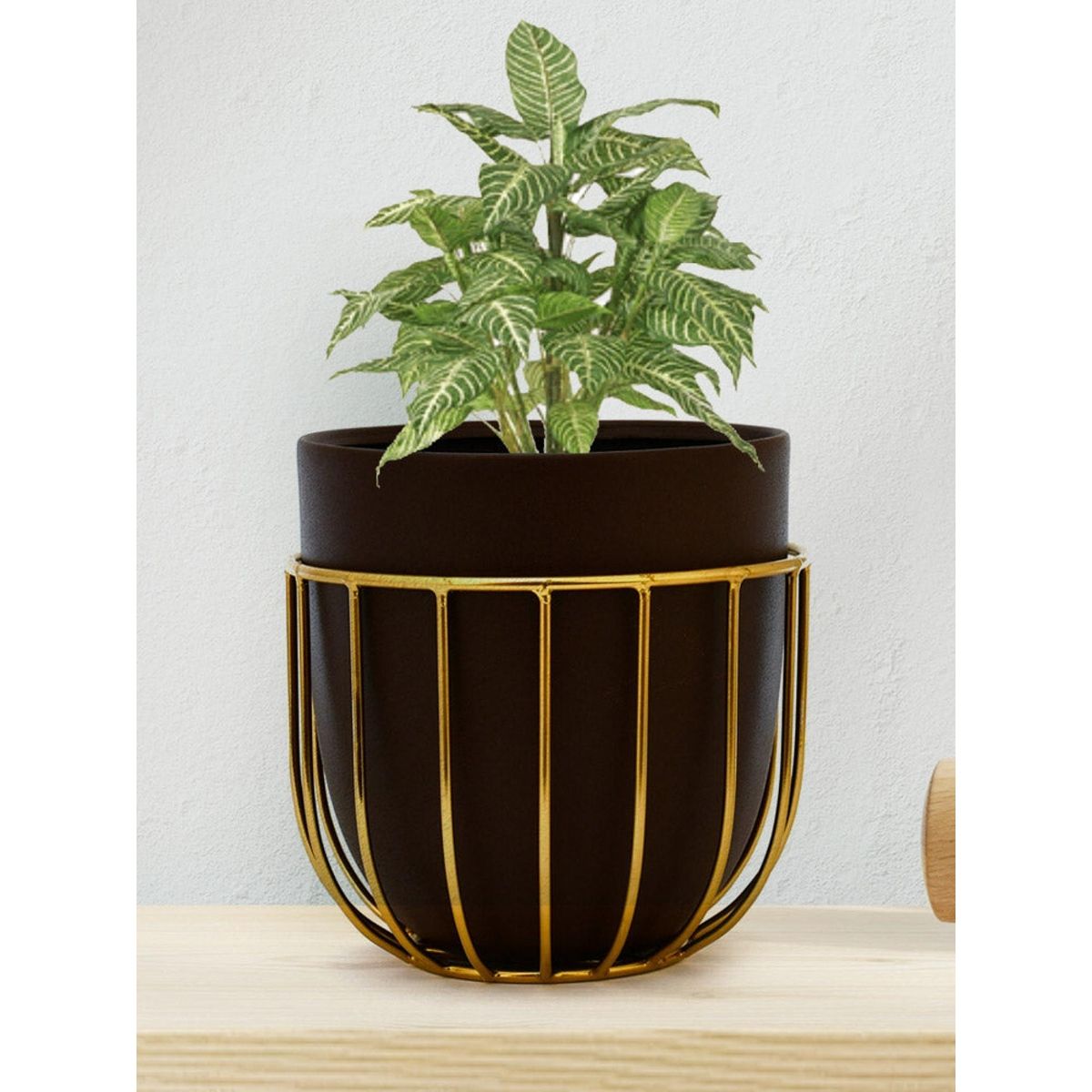 Buy At Home by Nilkamal Metal Jali Planter Multicolor Online