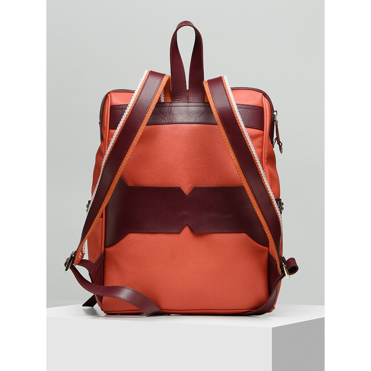 Buy Tiger Marron Double Major Backpack Online
